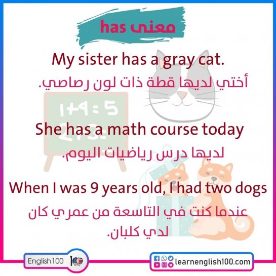 Has Has has-has