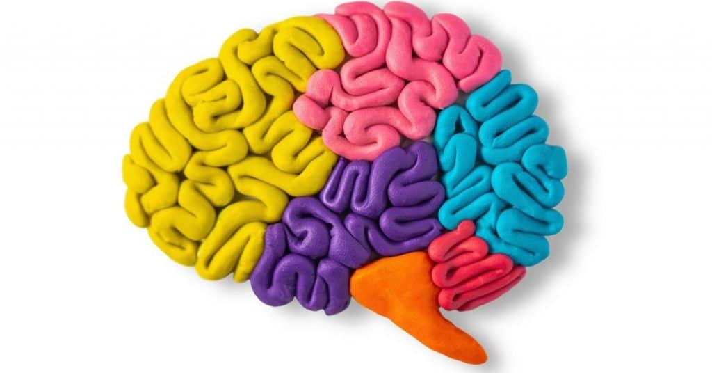 Left vs Right Brain Games for Brain Training app review - English 100