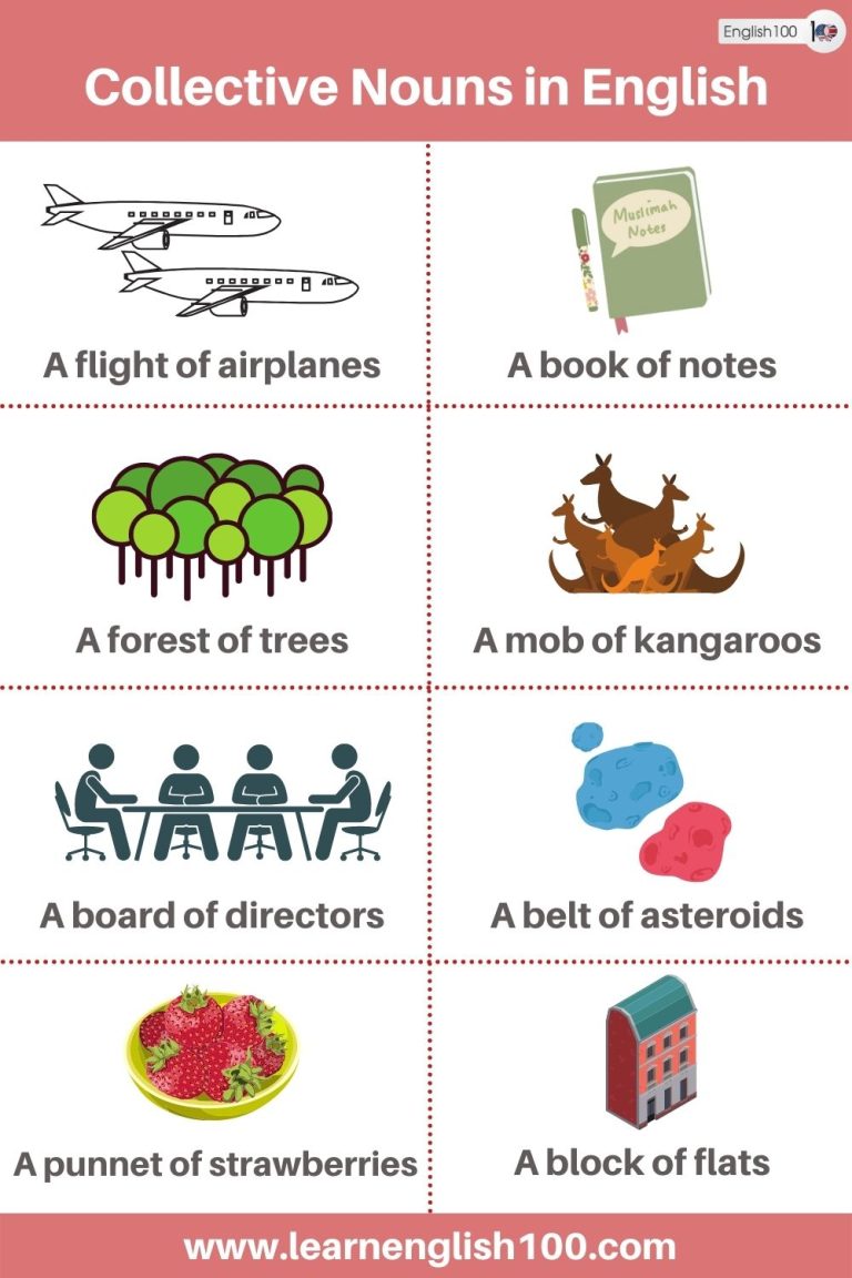 The Ultimate Guide To Collective Nouns in English: Everything You Need ...