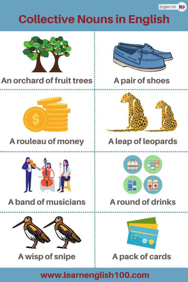 The Ultimate Guide To Collective Nouns in English: Everything You Need ...