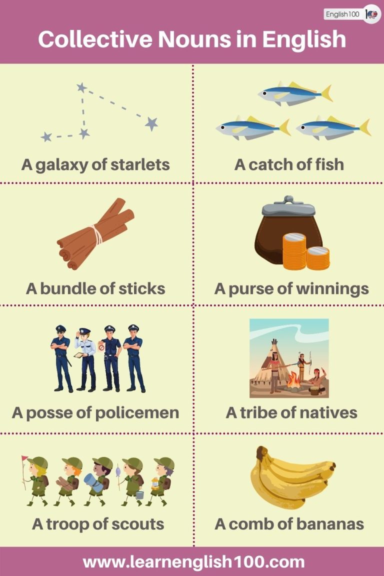 The Ultimate Guide To Collective Nouns in English: Everything You Need ...