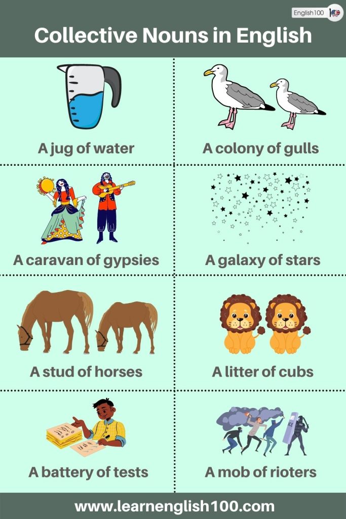 The Ultimate Guide To Collective Nouns in English: Everything You Need ...