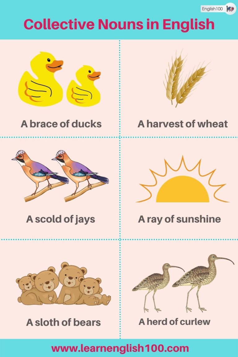 The Ultimate Guide To Collective Nouns in English: Everything You Need ...