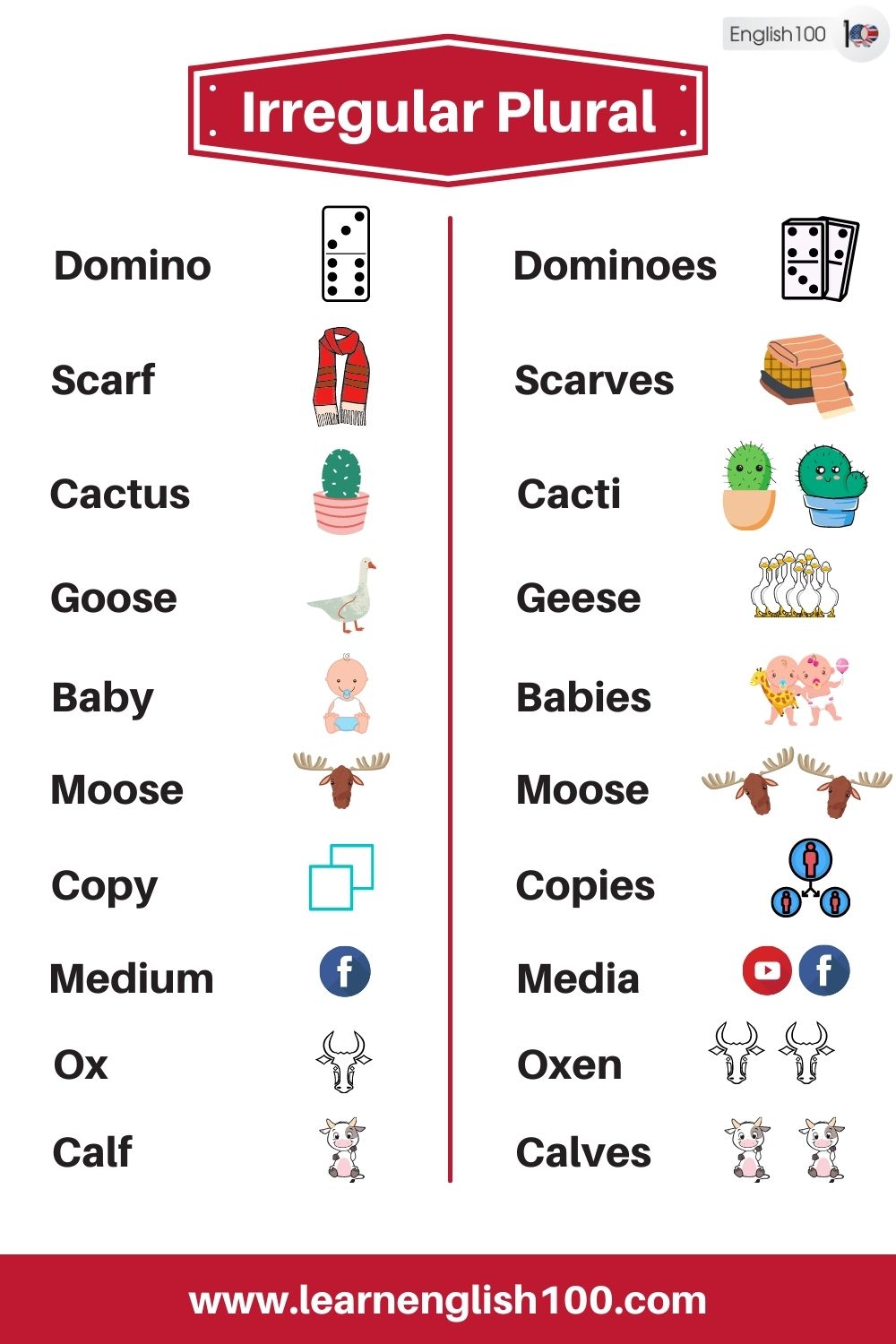 The List Of Most Common Irregular Plural Nouns In English And Their The List Of Most Common Irregular Plural Nouns In English And Their