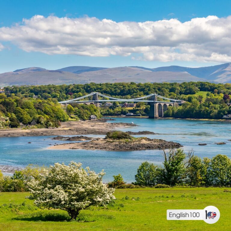 What languages are spoken in the UK? Top 5 Languages Spoken in the UK ...