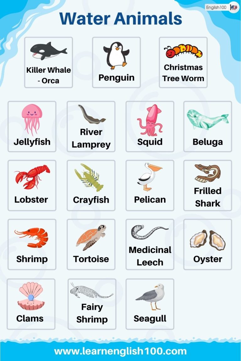 Water Animals - English 100