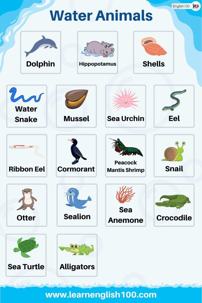 Water Animals - English 100