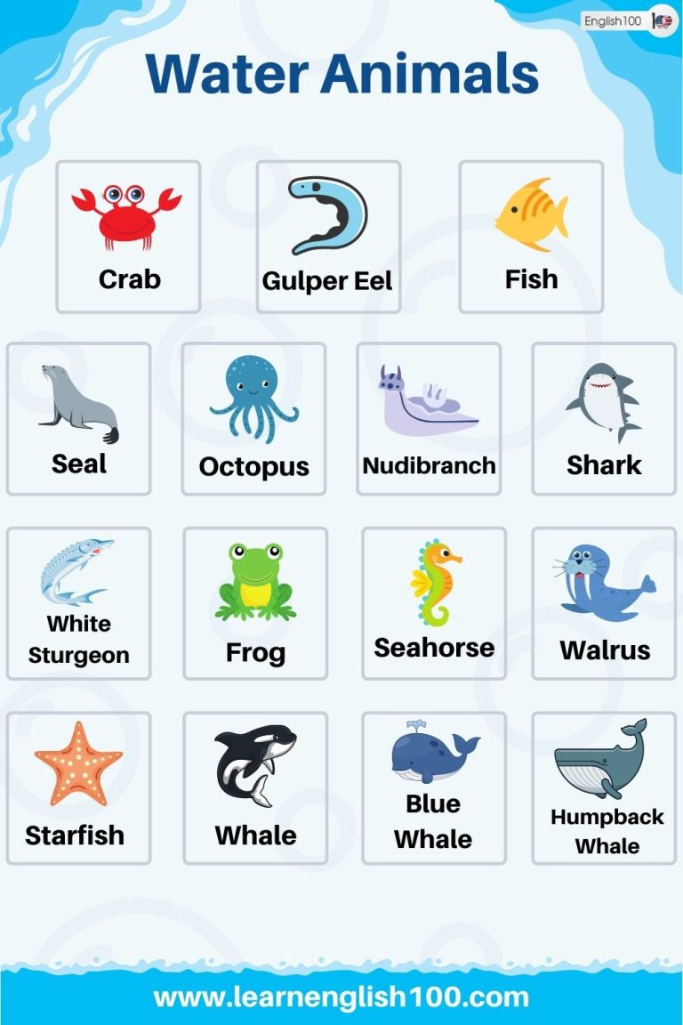 Water Animals - English 100